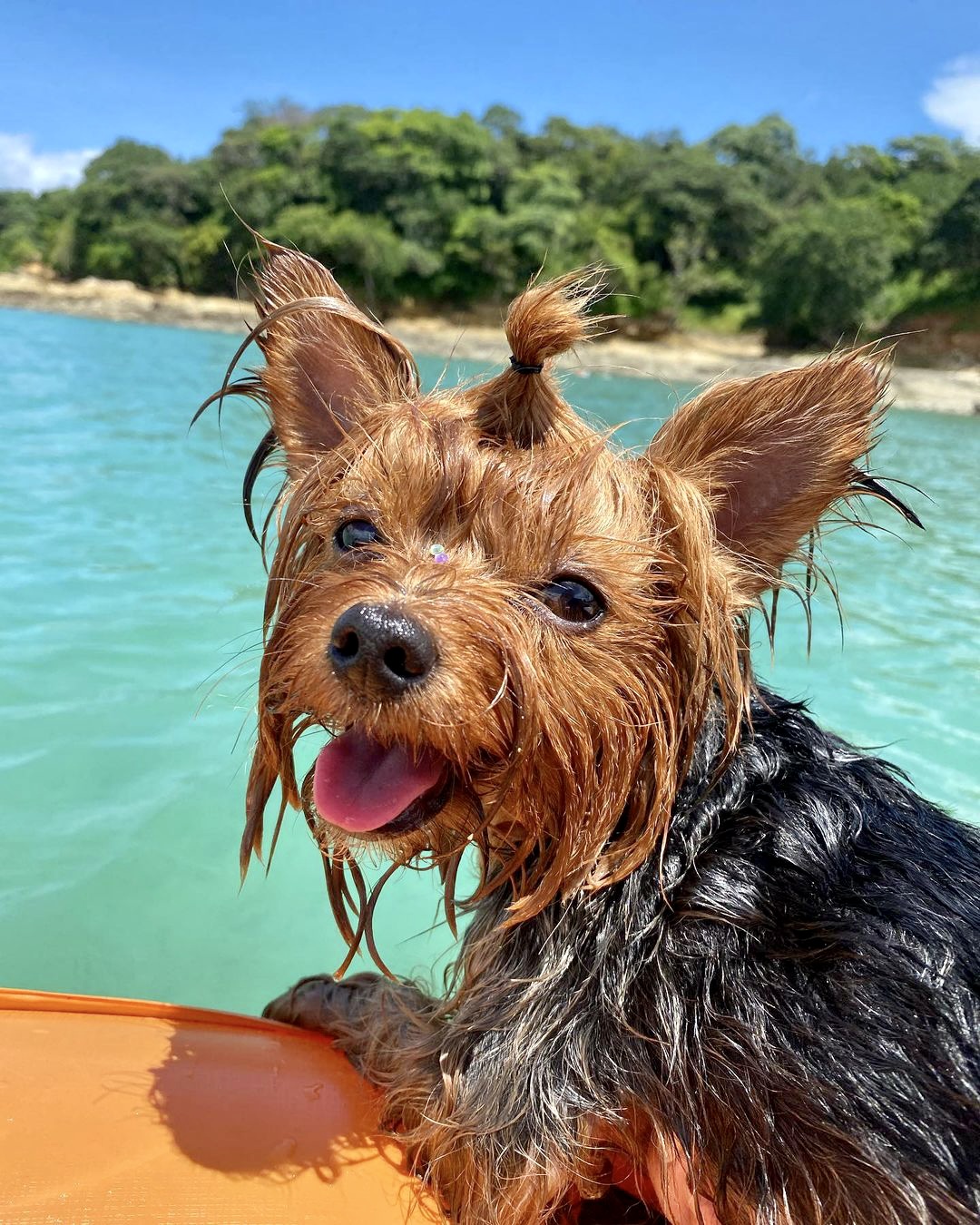 Tour [Day trip] in Mogo Mogo Island | Contadora Island