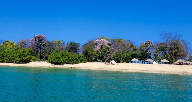 Tour [Day trip] in Mogo Mogo Island | Contadora Island