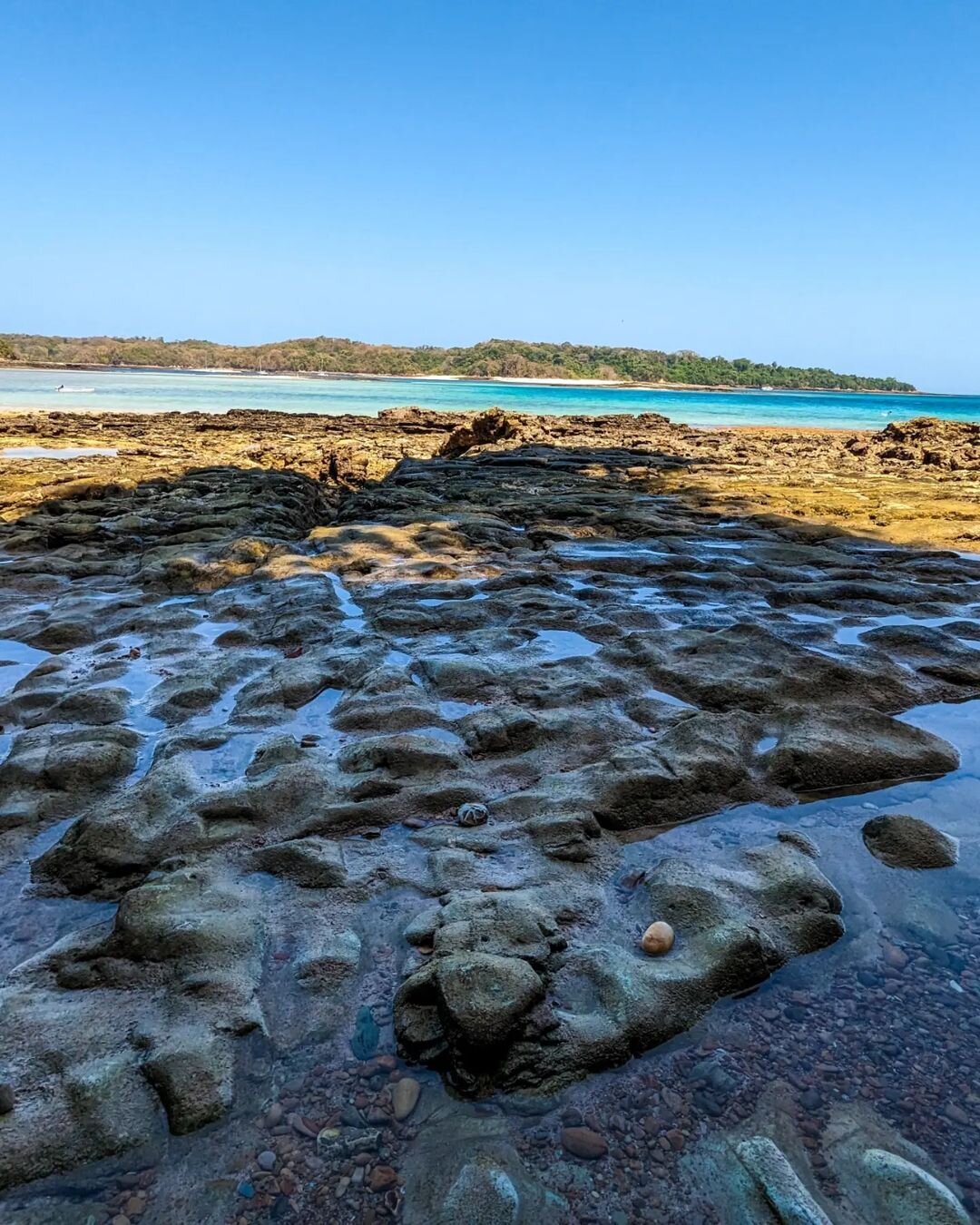 Tour [Day trip] in Mogo Mogo Island | Contadora Island